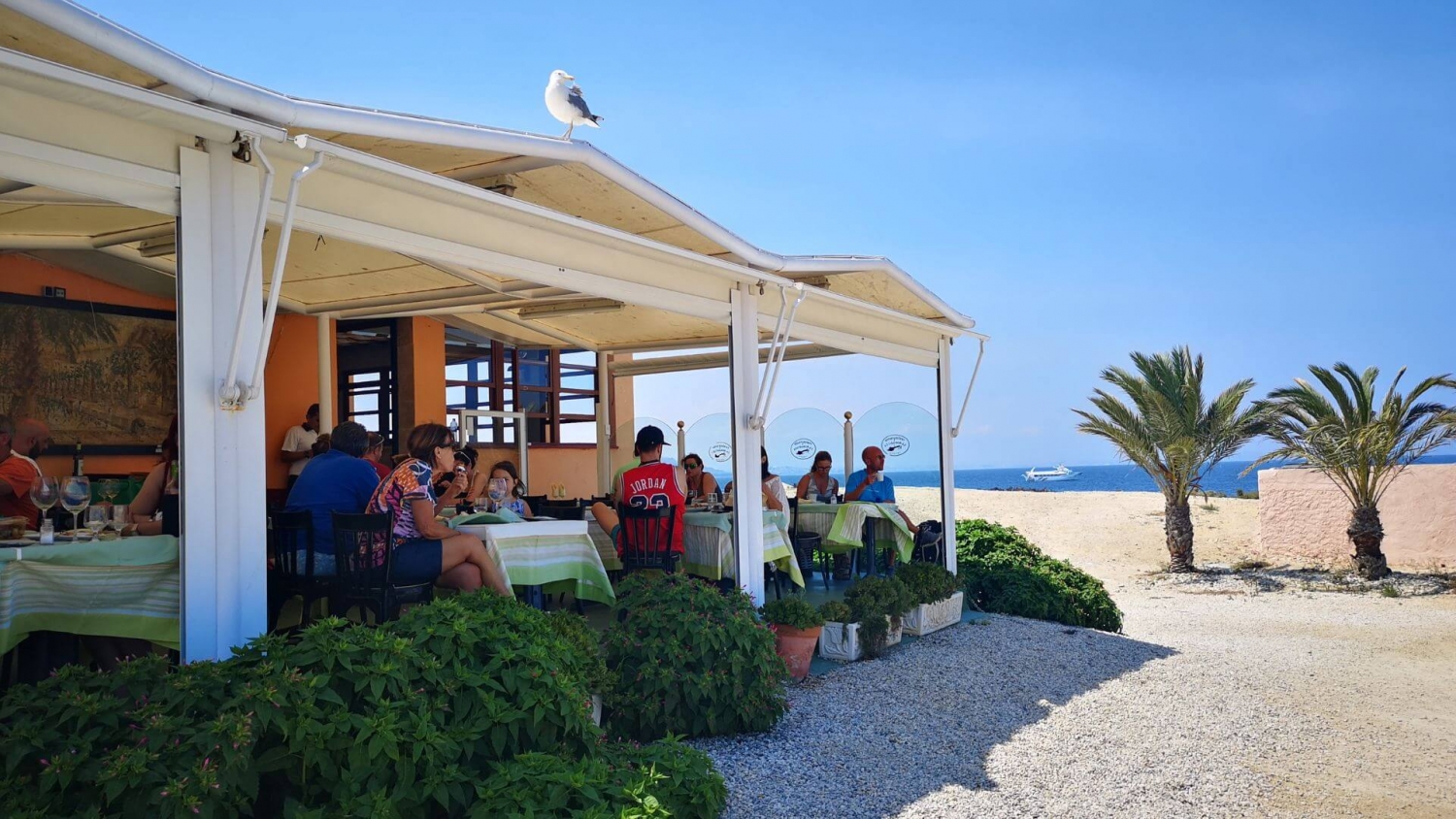 TOP 5 RESTAURANTS ON THE ISLAND OF TABARCA